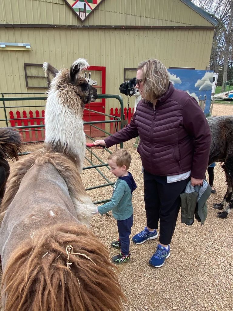 Live Feed | GFW Public Schools